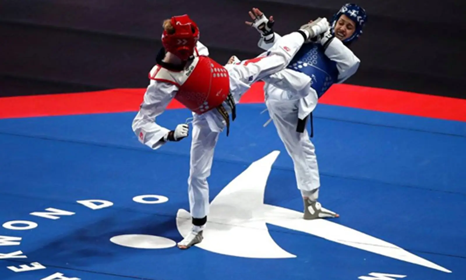 A Comprehensive Taekwondo Competition Preparation Guide for Athletes ...